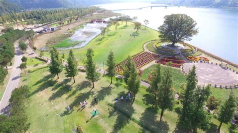 강원and이슈 산천어도시 화천군 파크골프 수도 꿈꾼다