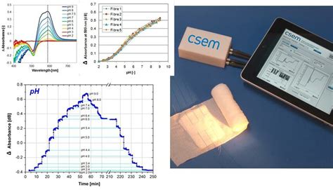 Ph Measurement Curves Left Smart Dressing Incorporating Sensing Download Scientific Diagram