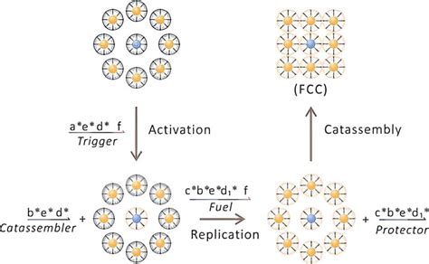 Scientists Construct Sophisticated Synthetic System Using Self Replicating Nanostructures