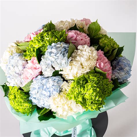 Mix Hydrangea Bouquet Colorful Hydrangea Flowers Floarea