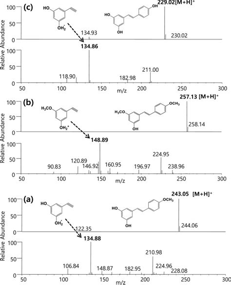Mass Fragmentation Analysis Of Methylated Resveratrol Analogs In