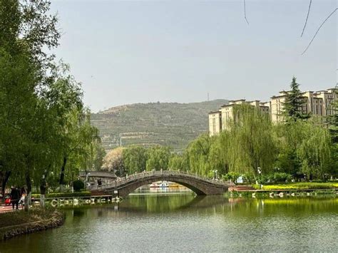 【芳华盛起 锦绣麦积】麦积区：春日马跑泉公园美景如画阳光生活二胡