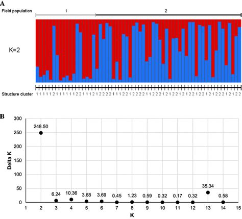 Bayesian Clustering Analysis Inferred From Structure And Structure
