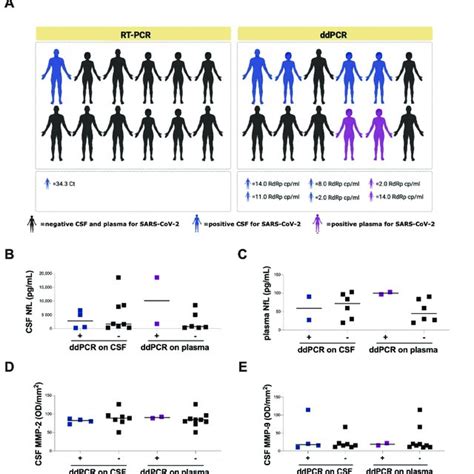 Detection Of Sars Cov 2 Rna On Csf And Plasma Samples And Evaluation Of Download Scientific