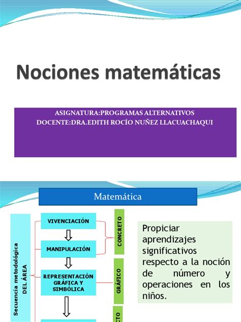 Nociones Básicas De La Matemática Pdf Percepción Función Matemáticas