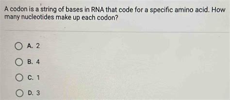 Solved A Codon Is A String Of Bases In Rna That Code For A Specific