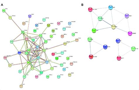 Protein Protein Interaction Ppi Analysis Of 50 Hub Genes And Key Node