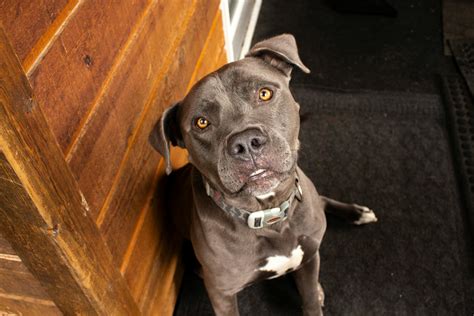 Telegraphcutegirls Photos Download The Best Free Telegraphcute