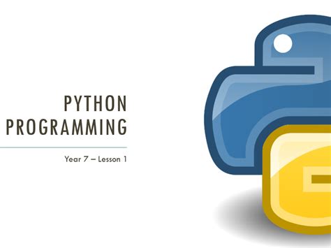 Introduction To Python The Basics Lessons With Sow Teaching Resources