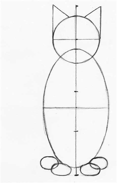 How To Draw A Realistic Cat Step By Step Udemy Blog