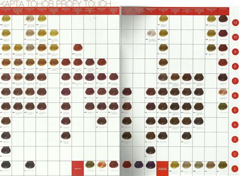 Краска для волос «Концепт применение и отзывы