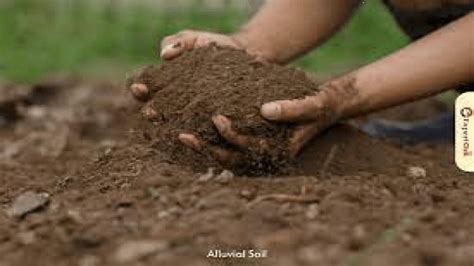 Alluvial Soil Iaspoint