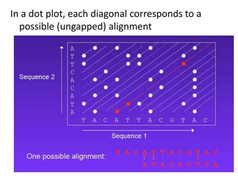 4 Sequence Alignmentpptx