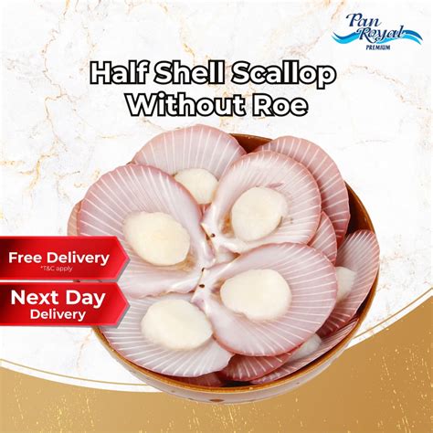[pan Royal] Frozen Half Shell Scallop Without Roe 5 6 500g Pan Ocean Singapore Sea