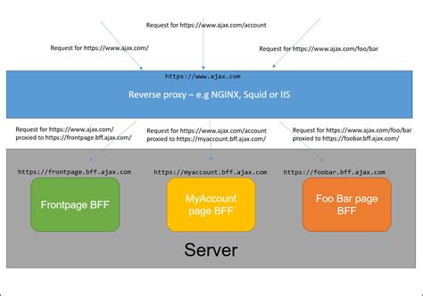 Nginx Proxy Nfs
