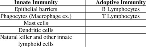 Immune System Types And Constituents Download Scientific Diagram