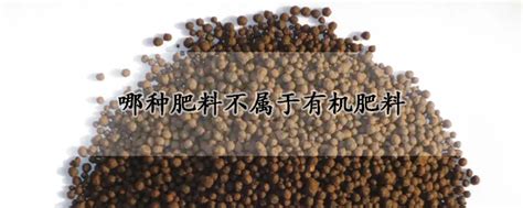 菜籽饼怎么发酵做肥料最简单的方法 发财农业网