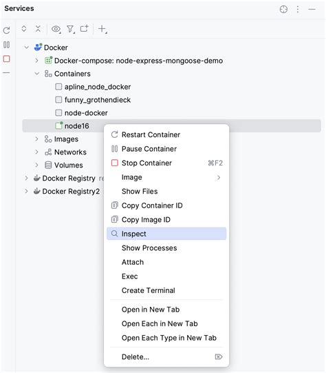 Docker Containers Webstorm Documentation