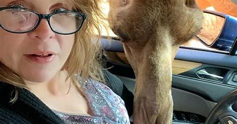camel check album on imgur
