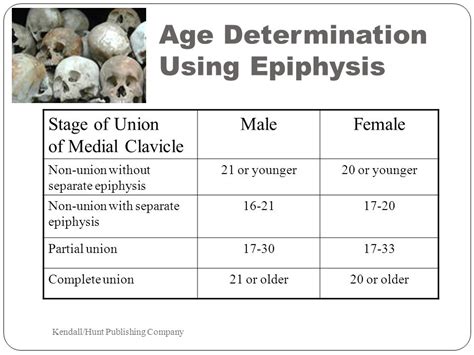 Pubic Symphysis Age Determination
