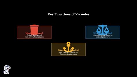 What Is Algae Algae Cell Structure Explained Biology Notes Online