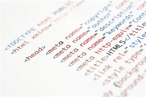 프로그래밍언어 6가지는 기본이에요 네이버 블로그