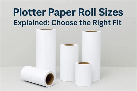 Plotter Paper Roll Sizes Complete Guide For Printing Projects