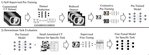 Cl Mri Self Supervised Contrastive Learning To Improve The Accuracy Of