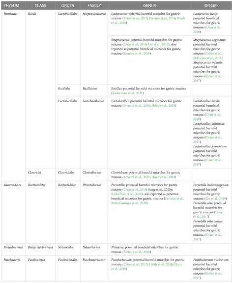 Frontiers Gastric Microbiota In Gastric Cancer Different Roles Of Helicobacter Pylori And