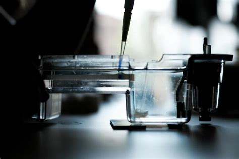 Laemmli Buffer What Is It For Anyway