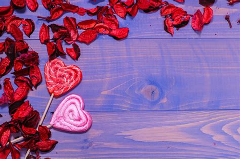 두 개의 하트 모양의 롤리팝이 붉은 꽃잎에 놓여 있습니다 파란색 배경 나무 발렌타인 데이 컨셉 기념일 결혼식 비문에 대한 공간을