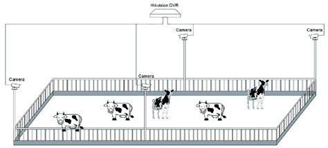 Schematic Diagram Of Installation Of Estrus Data Acquisition Equipment Download Scientific