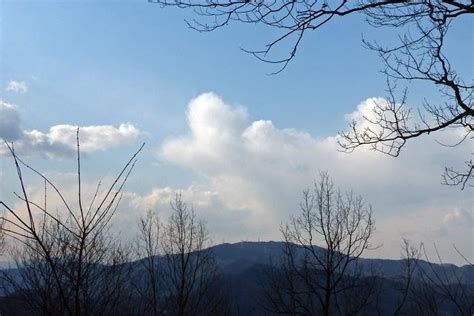 晴れそうなのですが 鐘撞堂山の風