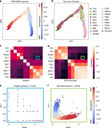Single Cell Rna Seq Denoising Using A Deep Count Autoencoder Pmc