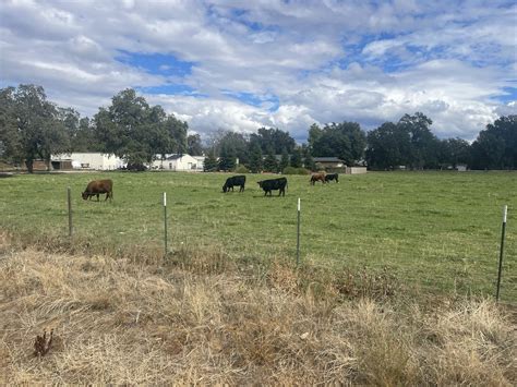 Houston Phase 1 Environmental Site Assessment Company Geo Forward