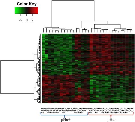 heat map from the hierarchical clustering of differentially expressed
