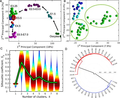 Hierarchical Optimal K Means Clustering Hokm Reveals A Splitting Into