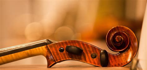 Area Of Interest Strings Explore Babe Of Music SFA