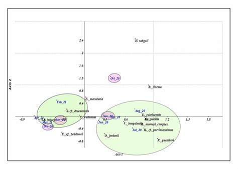 Correspondence Analysis Of Lizards Based On The Monthly Abundance Of Download Scientific