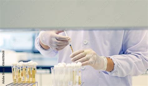 Scientist Transfer Sample Using Syringe Most Probable Number Mpn