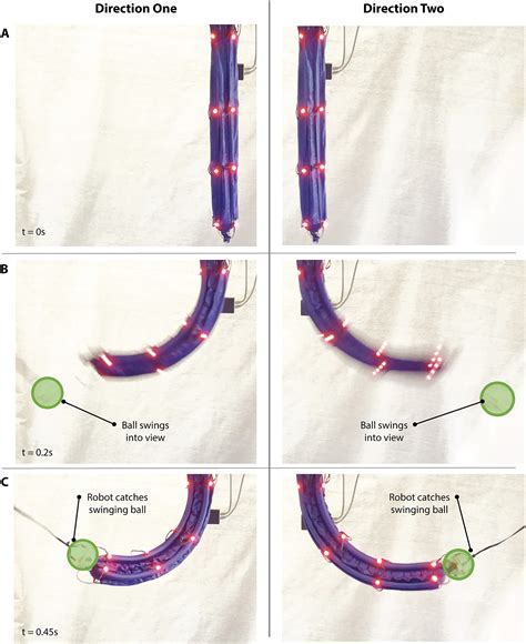 Control Of Soft Robots With Inertial Dynamics Science Robotics