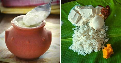 Souvik Chakrabarty On Linkedin Iit Kharagpur Trio Used Curd To Make Low Cost Gel That Enhances