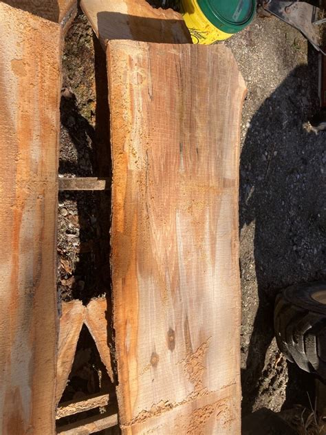 Sugar Maple Slabs General Chat Red Power Magazine Community