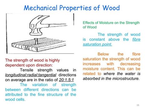 Wood Microstructure Ppt
