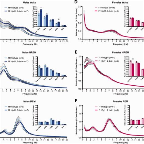 Thomas Nickl Jockschat Professor Associate Professor University