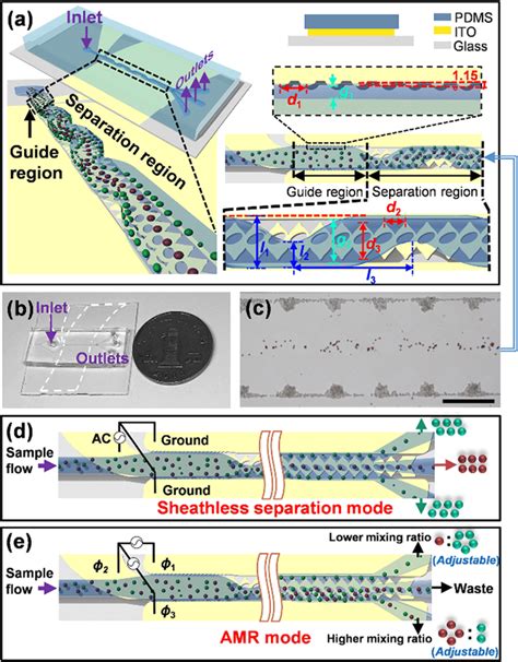 Schematic Diagram Of The Proposed Microfluidic Device For Sheathless Download Scientific