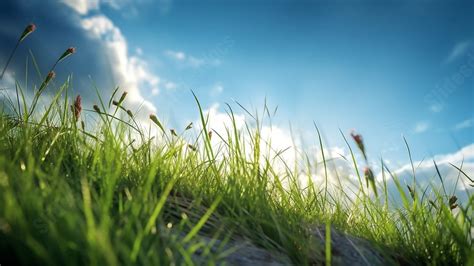 Best Green Lawn Grass Green Grassland Powerpoint Background For Presentation Slidesdocs