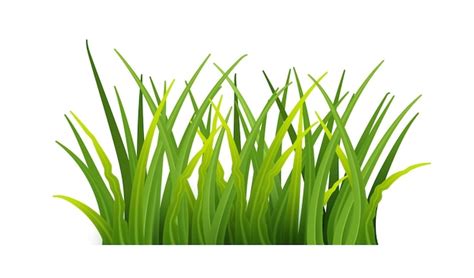 Free Vector Grass Png Clipart