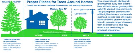 Tree Trimming National Grid