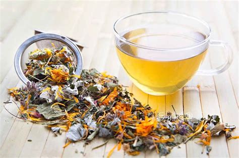 შინაურული დაცვა ონკოლოგიური დაავადებების წინააღმდეგ რჩევები ვივიენისგან